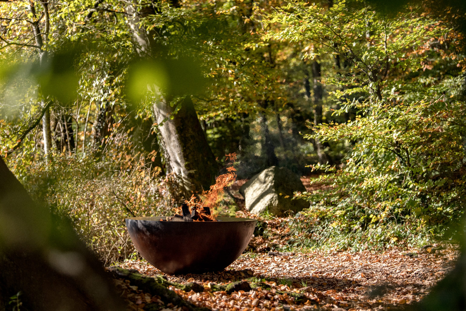 GB stellt vor: Der Feuerring - GRÜNES BLUT